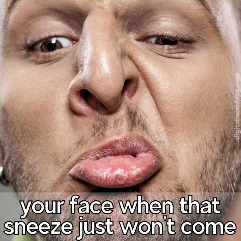 35 Funny Allergy Memes About Pollen And Seasonal Allergies