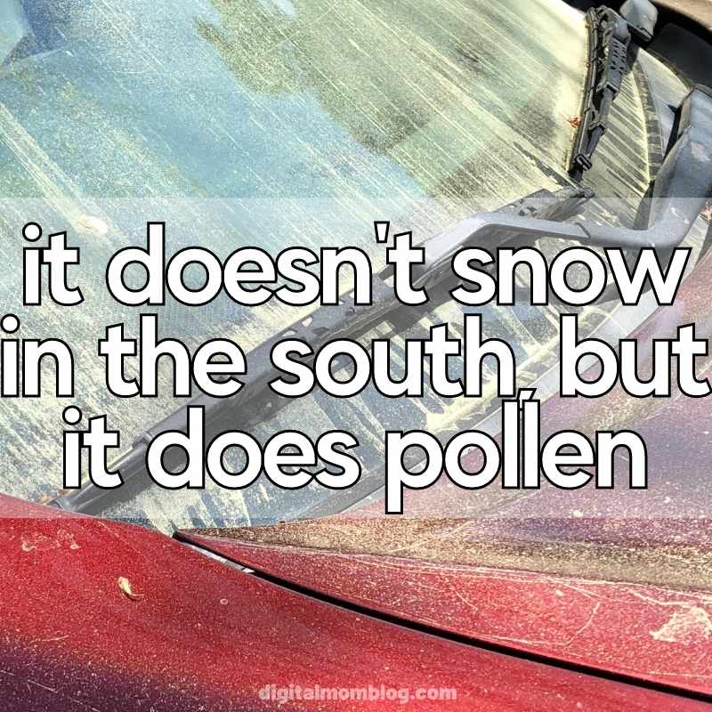 35 Funny Allergy Memes About Pollen And Seasonal Allergies
