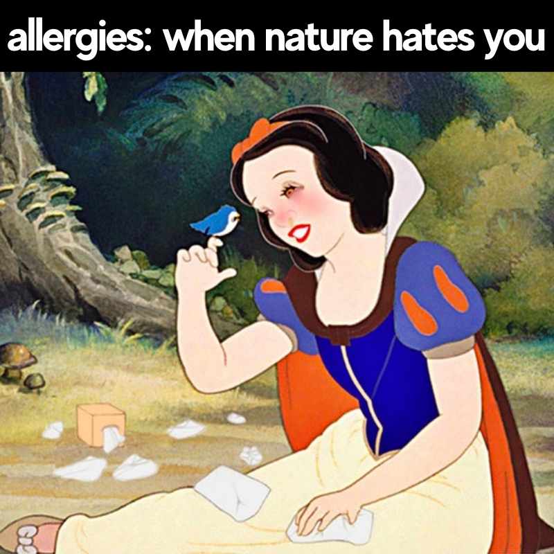 35 Funny Allergy Memes About Pollen And Seasonal Allergies