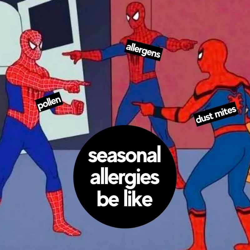 35 Funny Allergy Memes About Pollen And Seasonal Allergies