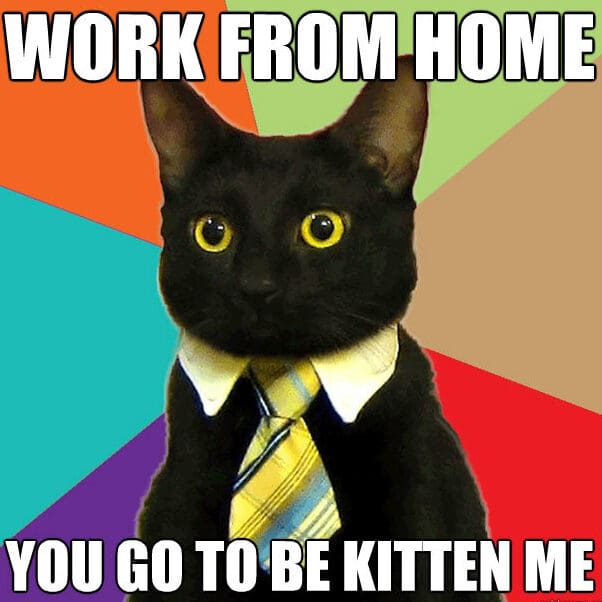 70 Funny Work From Home Memes Remote Workers Will Relate To