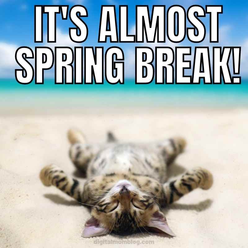 Funny Spring Break Memes: Sun, Sand, And Sarcasm