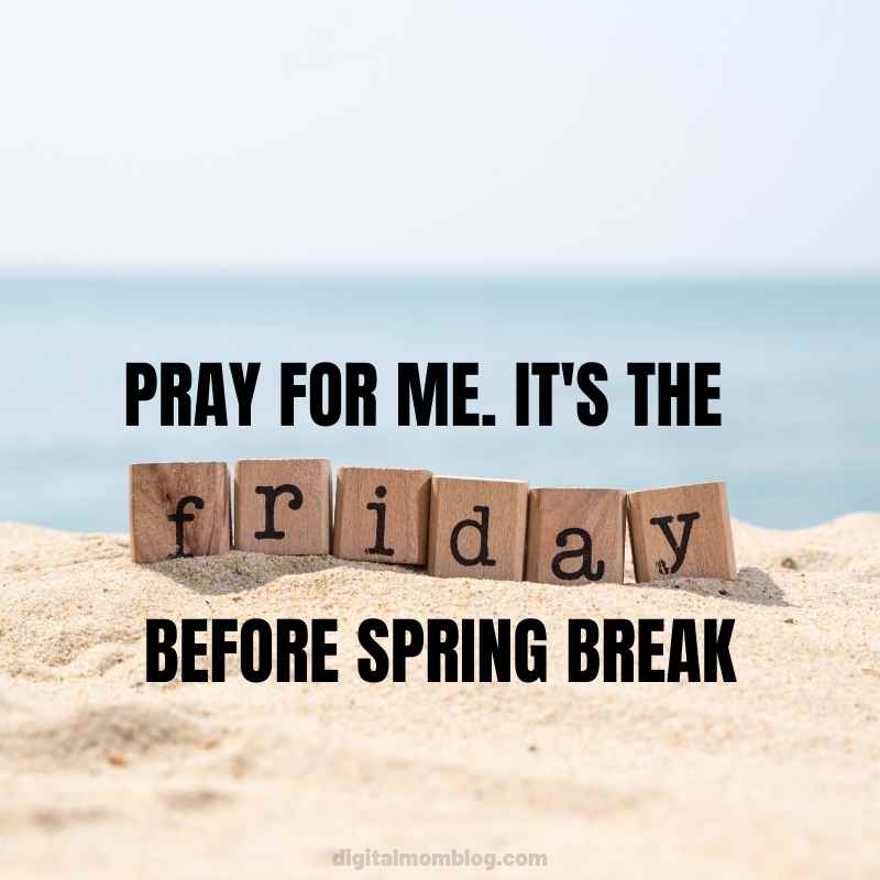 Funny Spring Break Memes: Sun, Sand, And Sarcasm