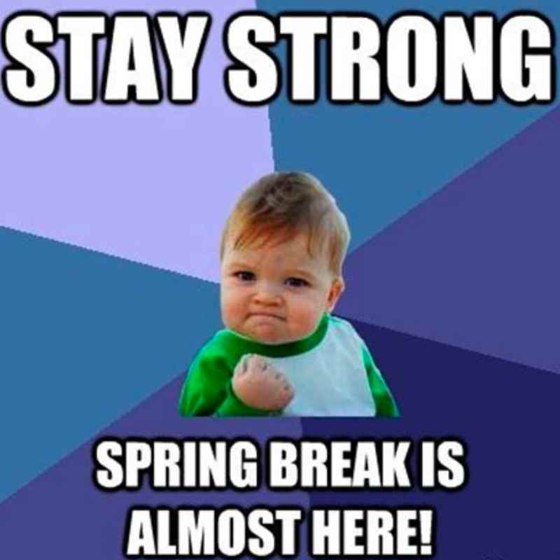 Funny Spring Break Memes: Sun, Sand, And Sarcasm