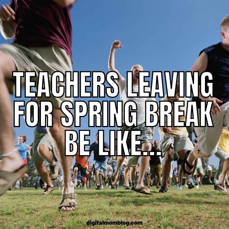 Funny Spring Break Memes: Sun, Sand, And Sarcasm