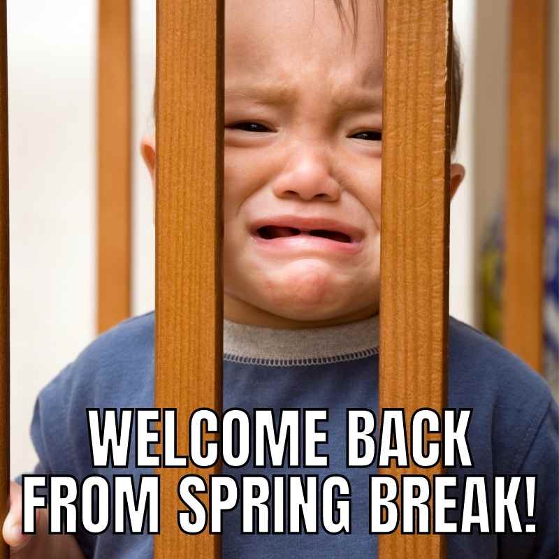 Funny Spring Break Memes: Sun, Sand, And Sarcasm