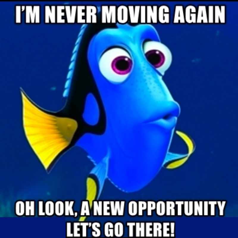 15 Hilarious Moving Memes That Capture The Chaos Of Relocating