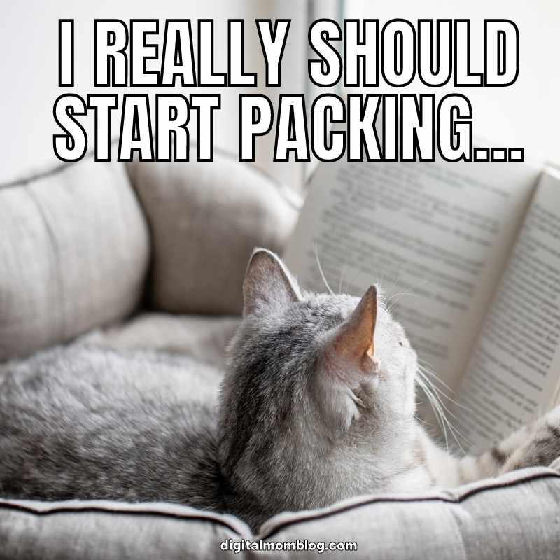 15 Hilarious Moving Memes That Capture The Chaos Of Relocating