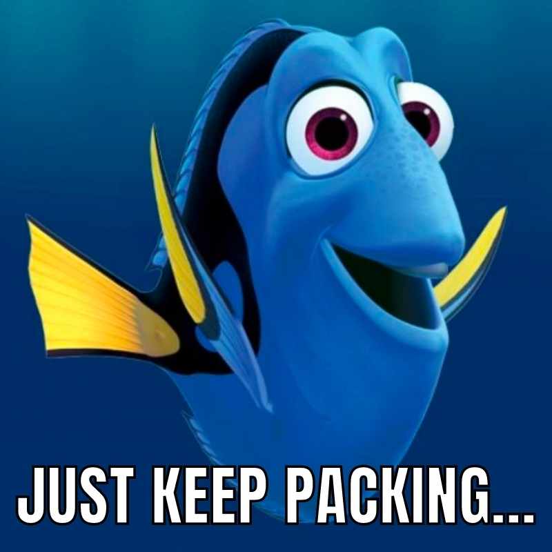 15 Hilarious Moving Memes That Capture The Chaos Of Relocating