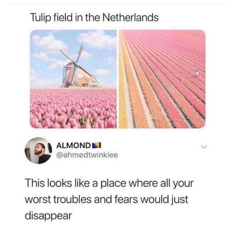 Happy Memes - 25+ Memes That Induce A Smile