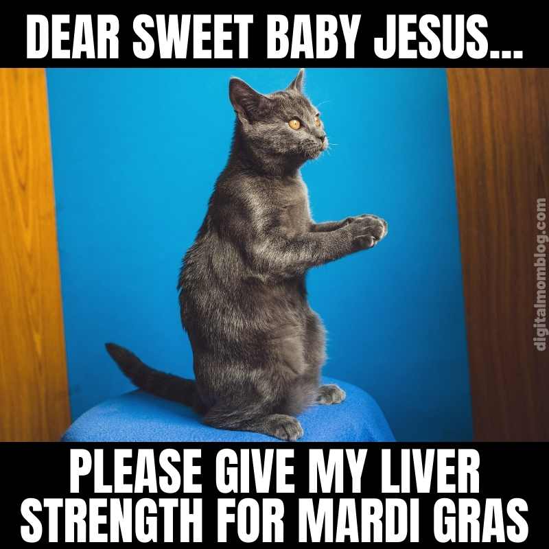 30 Hilarious Mardi Gras Memes To Laugh Your Beads Off With