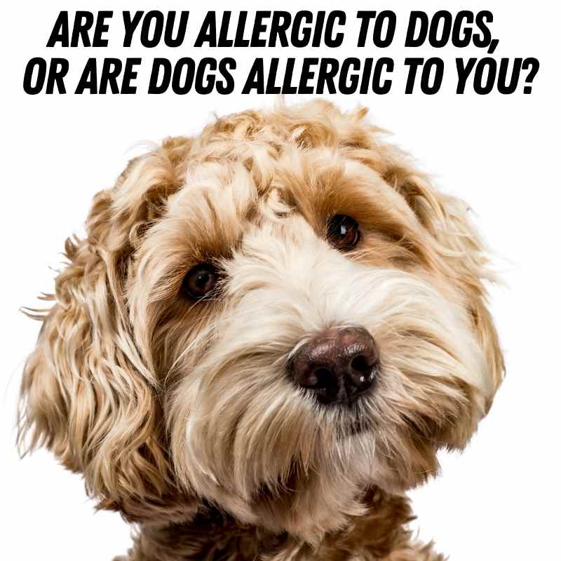 35 Funny Allergy Memes About Pollen And Seasonal Allergies