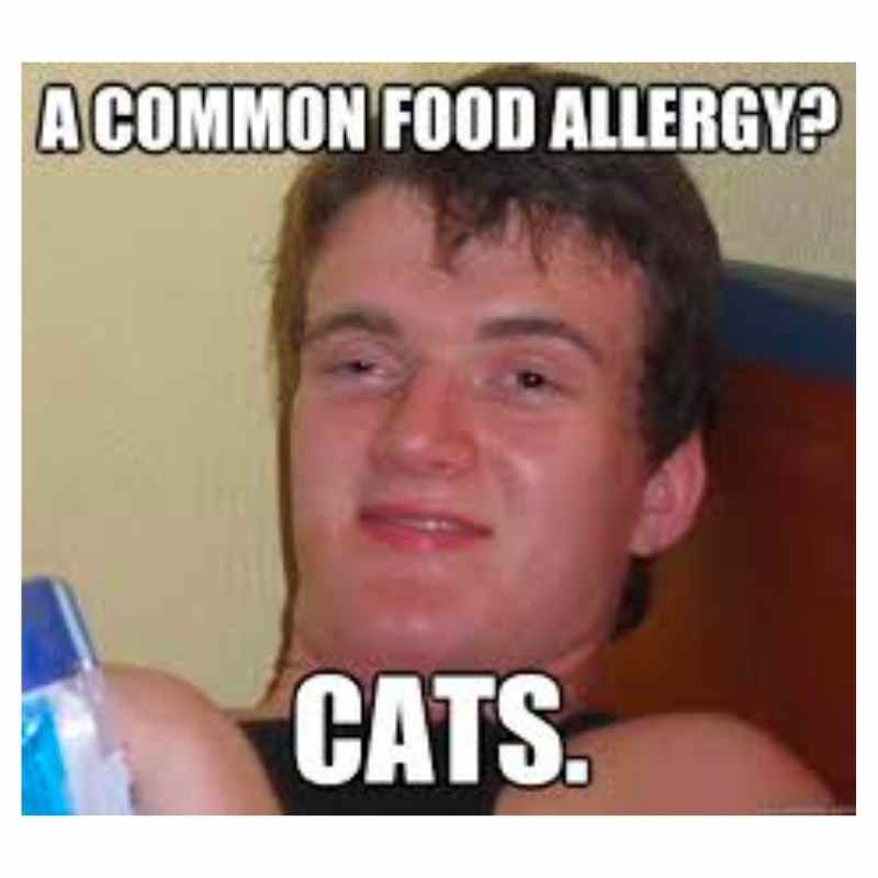35 Funny Allergy Memes About Pollen And Seasonal Allergies
