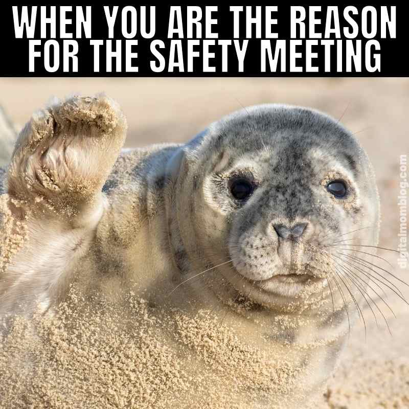 65 Funny Meeting Memes To Add Humor To The Workplace Agenda
