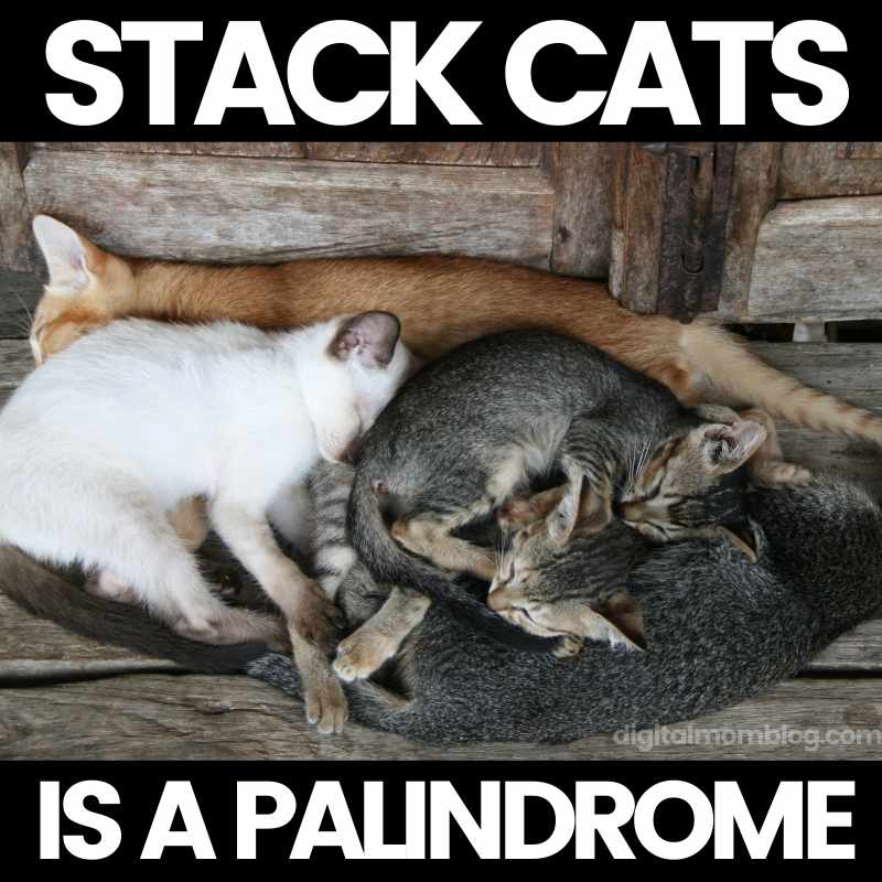 Best Palindrome Memes For Twosday - 2/22/22