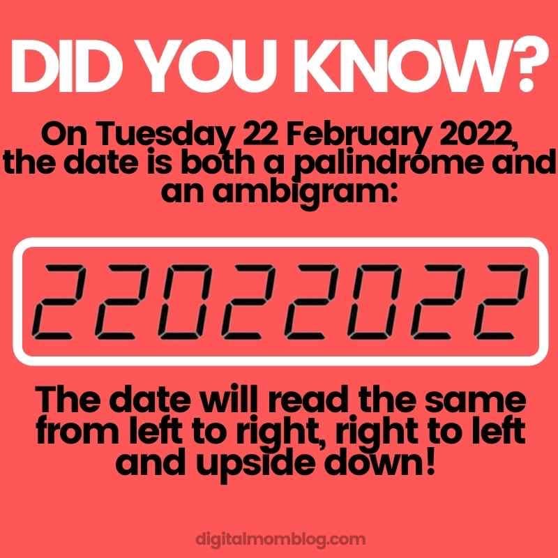 Best Palindrome Memes For Twosday - 2/22/22