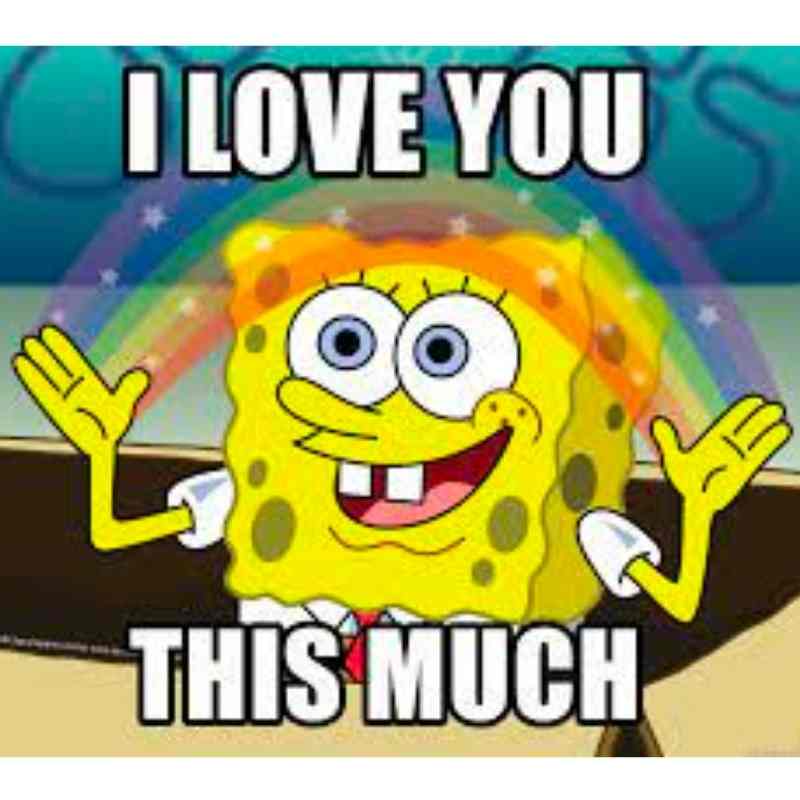 40 Best Love Memes For Expressing Your Devotion