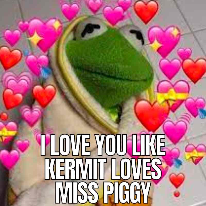 40 Best Love Memes For Expressing Your Devotion