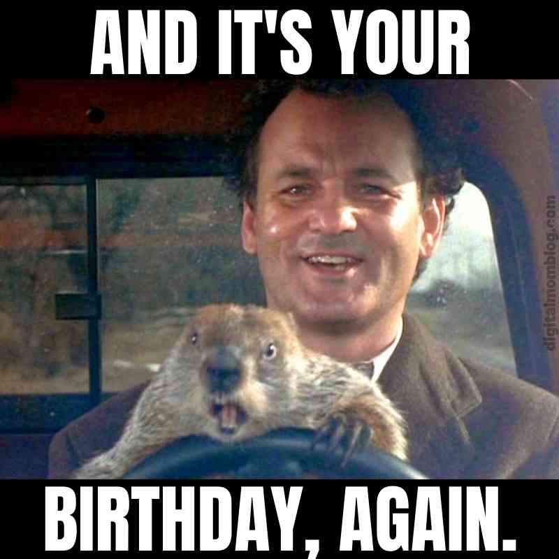 From Shadow To Sunshine: Hilarious Groundhog Day 2024 Memes