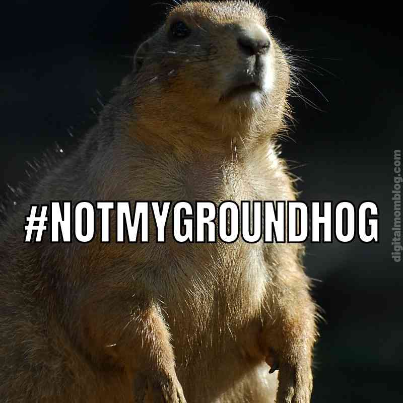 From Shadow To Sunshine: Hilarious Groundhog Day 2024 Memes