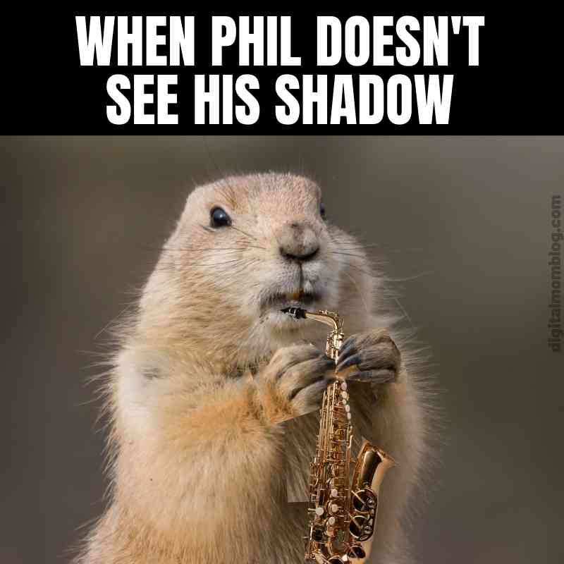 From Shadow To Sunshine: Hilarious Groundhog Day 2024 Memes