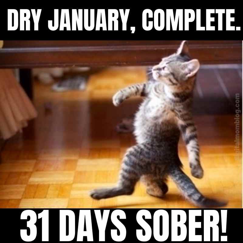 February Memes: Hilarious Images To Start The Month