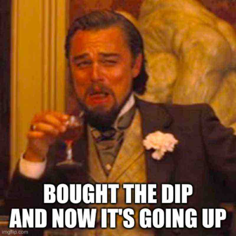 10+ Funny Buy The Dip Memes For Stock Market Players