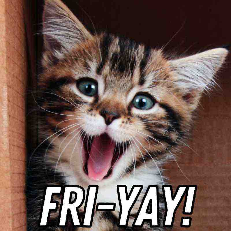 20 YAY Memes To Make Every Celebration Funnier!