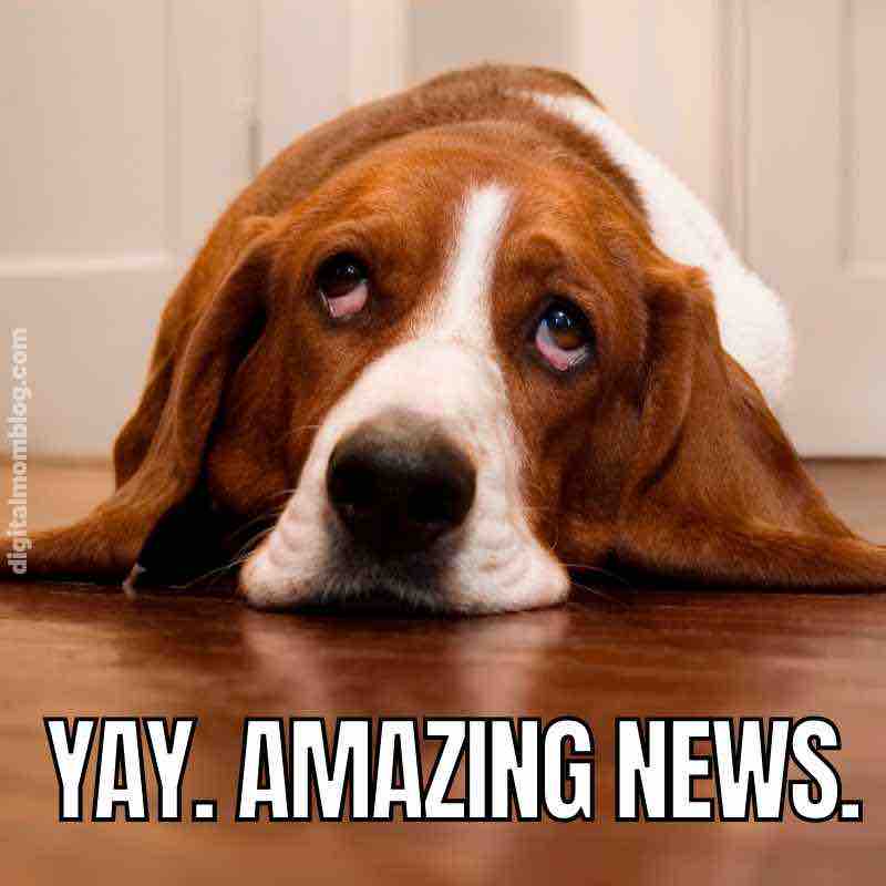 20 YAY Memes To Make Every Celebration Funnier!