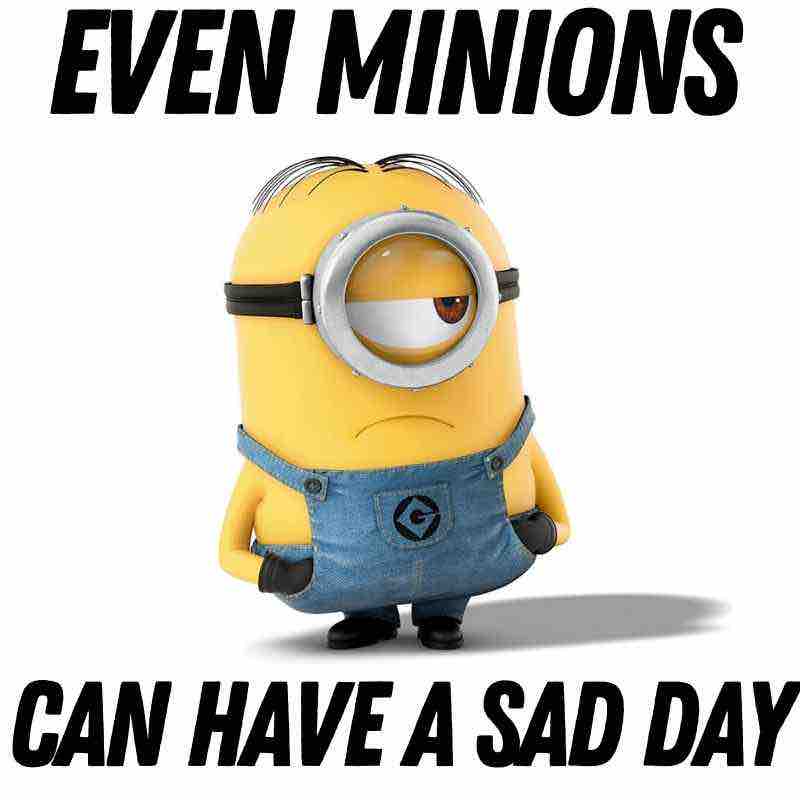 30 Hilarious Minion Memes To Brighten Your Day