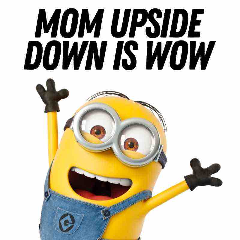 30 Hilarious Minion Memes To Brighten Your Day