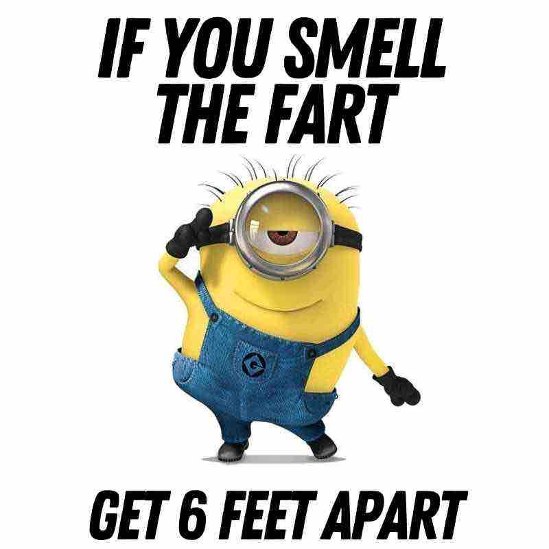 30 Hilarious Minion Memes To Brighten Your Day