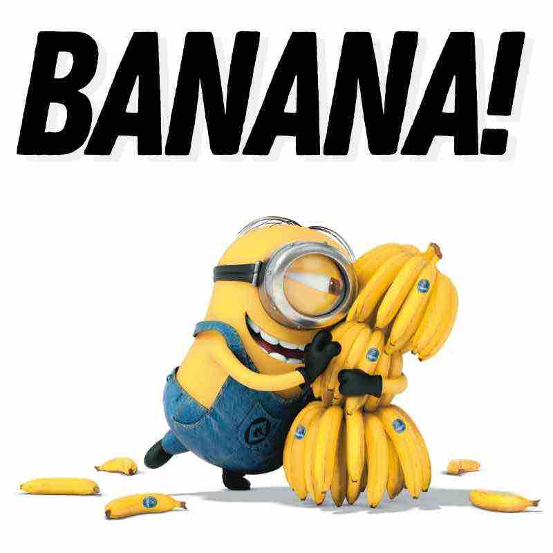 30 Hilarious Minion Memes To Brighten Your Day