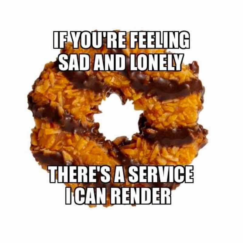 Best Girl Scout Cookie Memes 2024 To Sell Cookies With