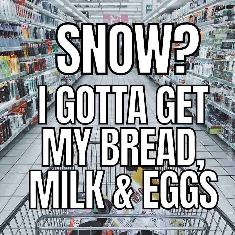 40 Funny Snow Memes That Capture The Frosty Fun