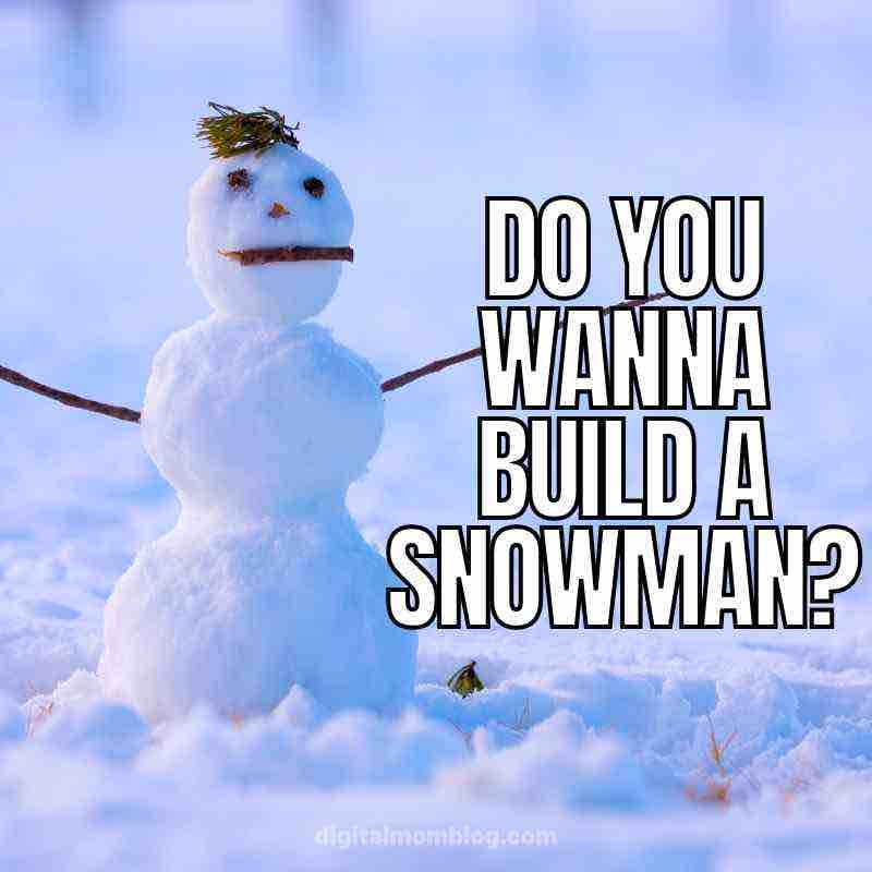 40 Funny Snow Memes That Capture The Frosty Fun