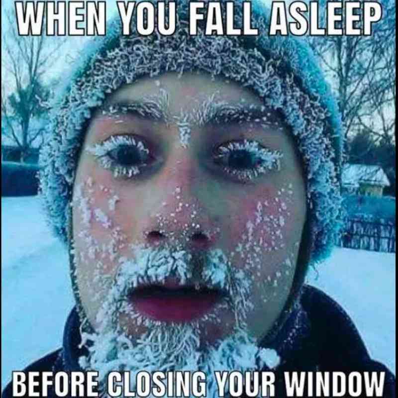 40 Funny Snow Memes That Capture The Frosty Fun