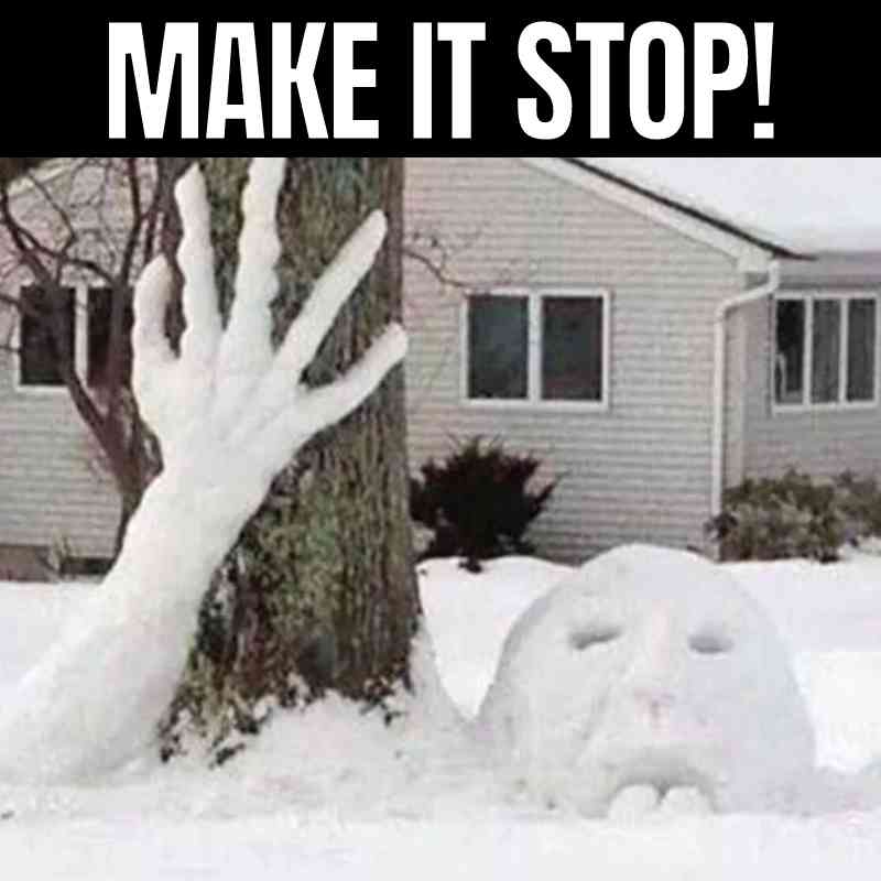 40 Funny Snow Memes That Capture The Frosty Fun