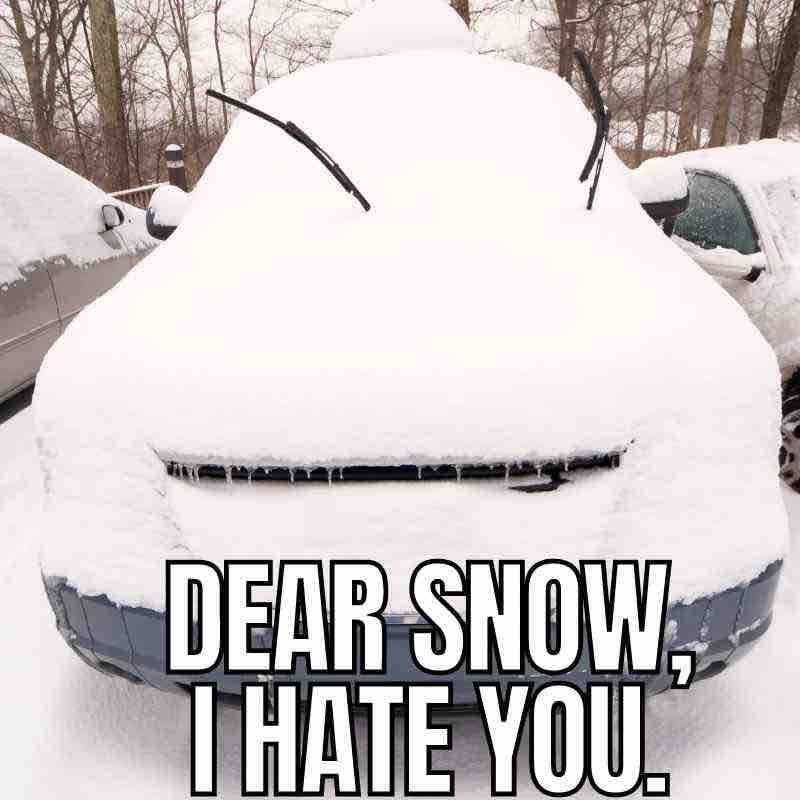 40 Funny Snow Memes That Capture The Frosty Fun