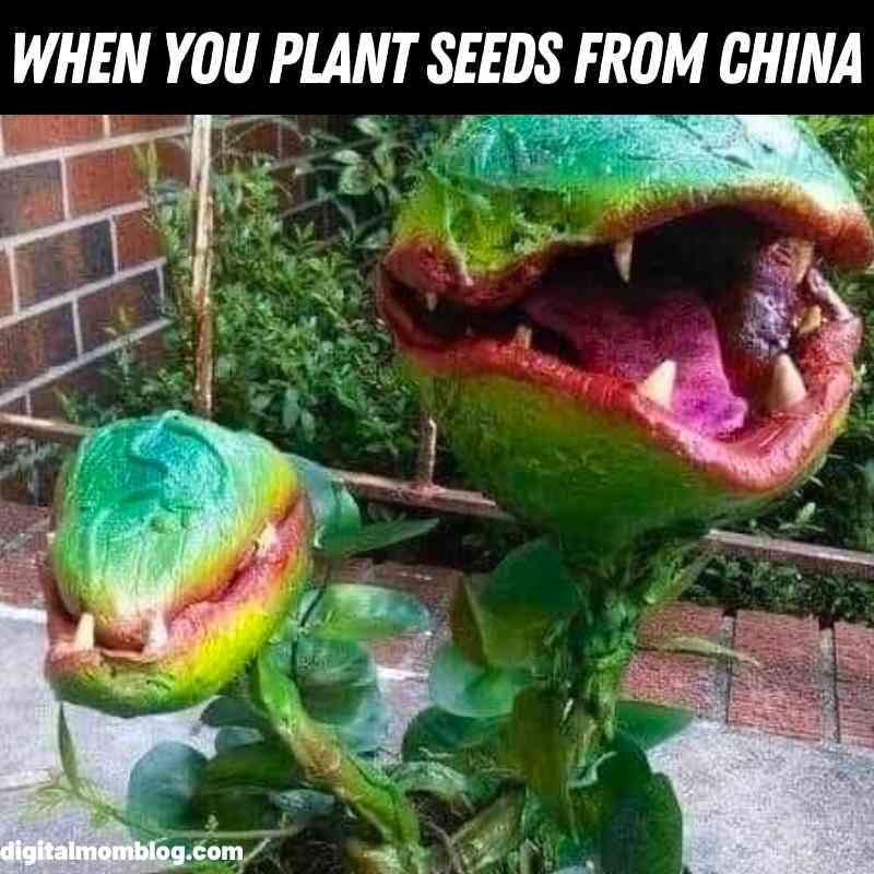 40 Hilarious Plant Memes That Every Gardener Can Relate To