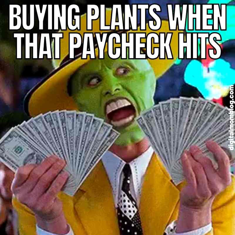 40 Hilarious Plant Memes That Every Gardener Can Relate To