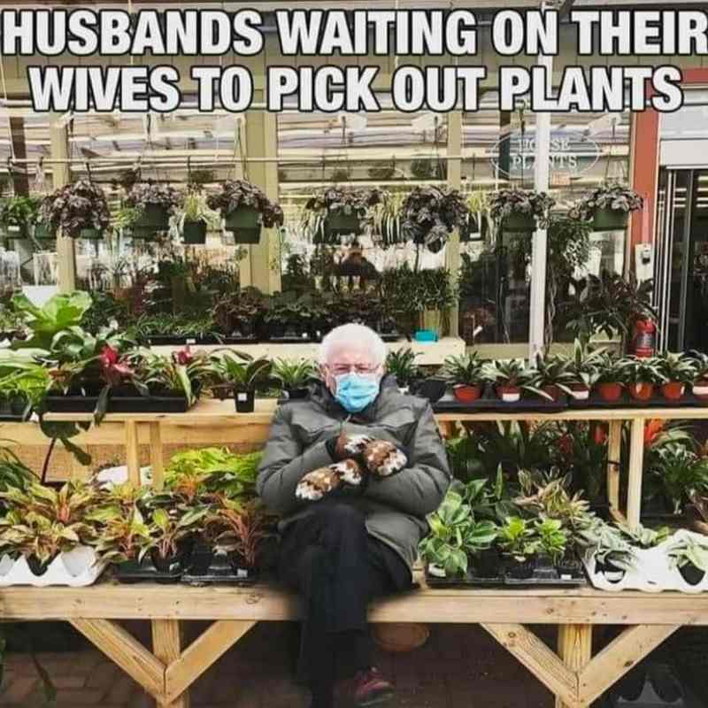 40 Hilarious Plant Memes That Every Gardener Can Relate To