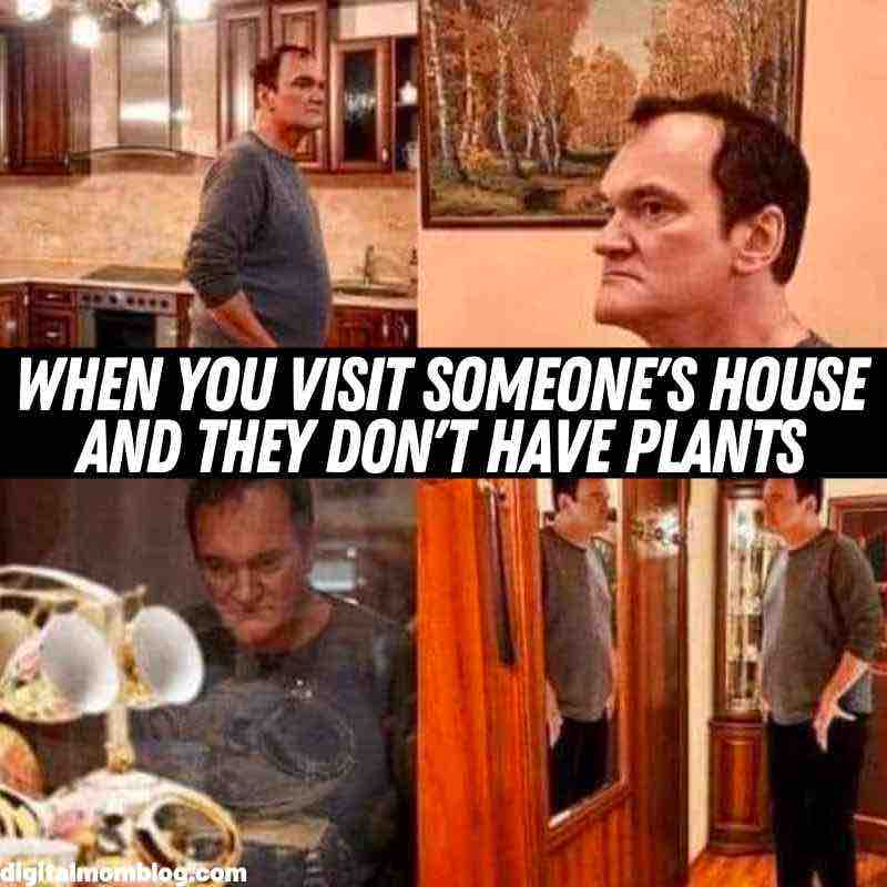 40 Hilarious Plant Memes That Every Gardener Can Relate To