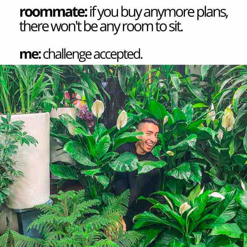 40 Hilarious Plant Memes That Every Gardener Can Relate To