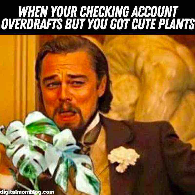 40 Hilarious Plant Memes That Every Gardener Can Relate To