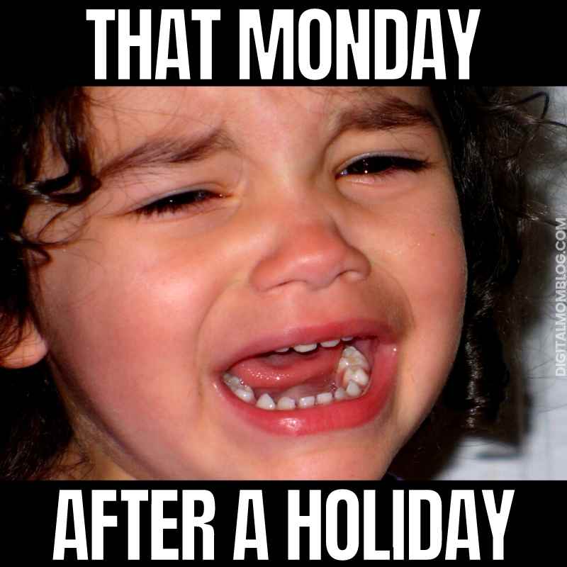 50 Best Holiday Memes And Images For A Jolly Laugh