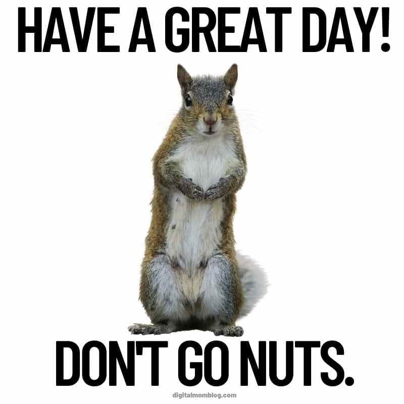 35 Have A Great Day Memes Guaranteed To Make You Smile!