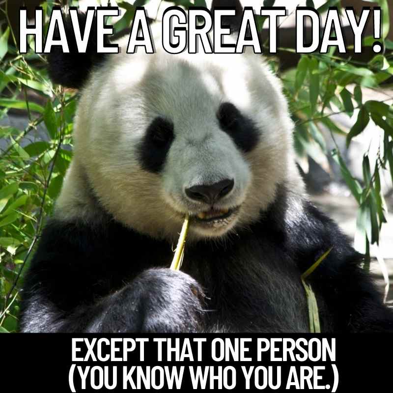 35 Have A Great Day Memes Guaranteed To Make You Smile!