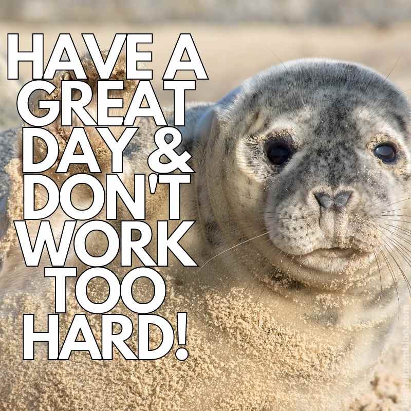 35 Have A Great Day Memes Guaranteed To Make You Smile!