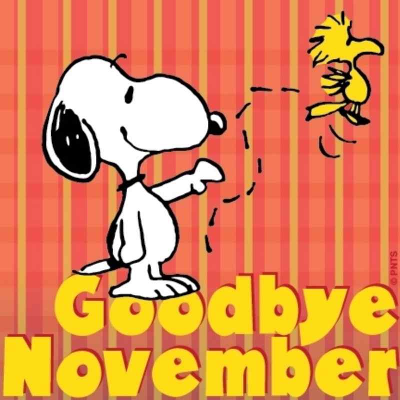 November Memes 2024: Thanksgiving, Sweaters, And Laughs